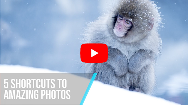 5 Simple Shortcuts You Can Use To Take Photos That Are As Good As Mine