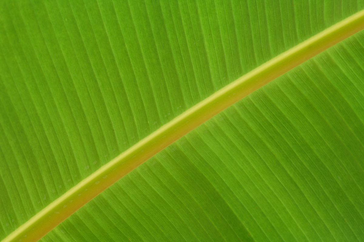 Patterns: 7 Tips For Using Patterns For Photos With Amazing Impact