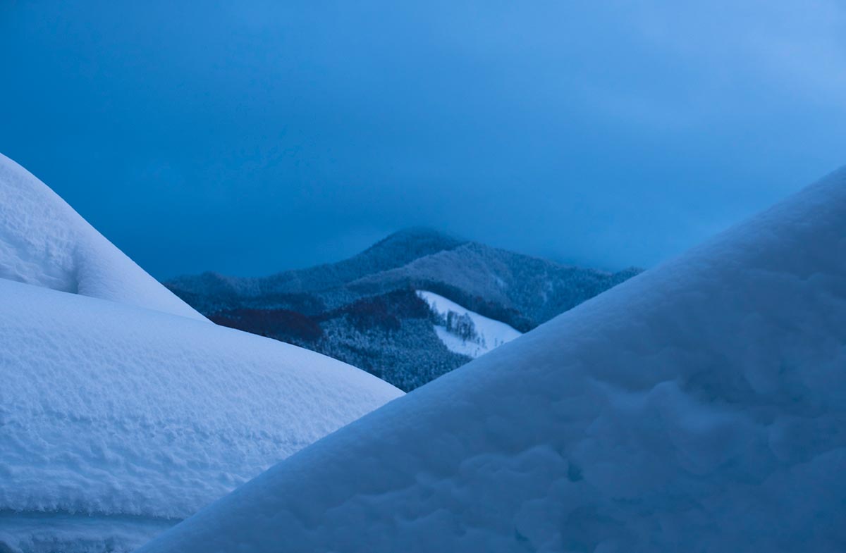 White Balance Explained: How To Get Accurate Colors In Your Photos