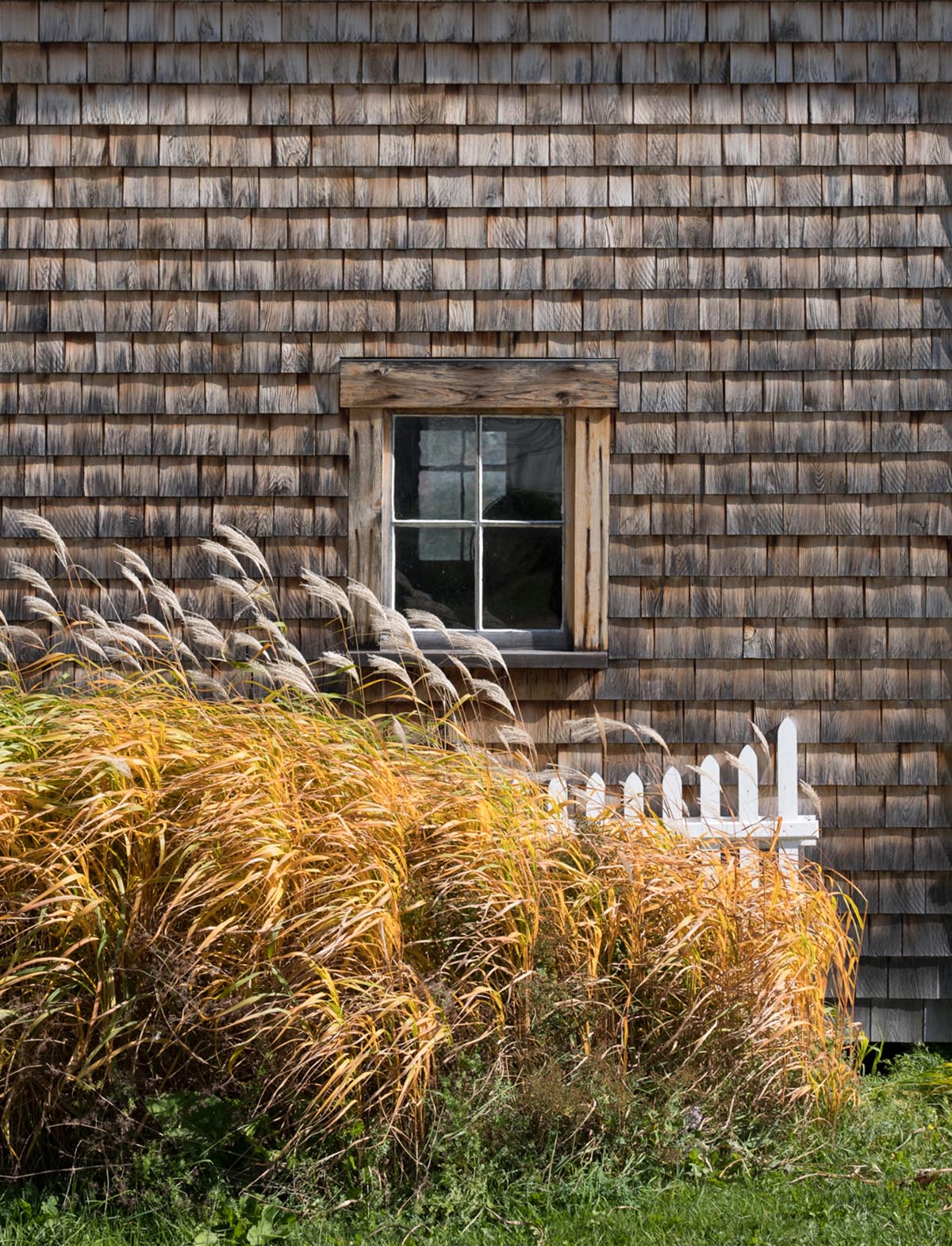 Patterns: 7 Tips For Using Patterns For Photos With Amazing Impact