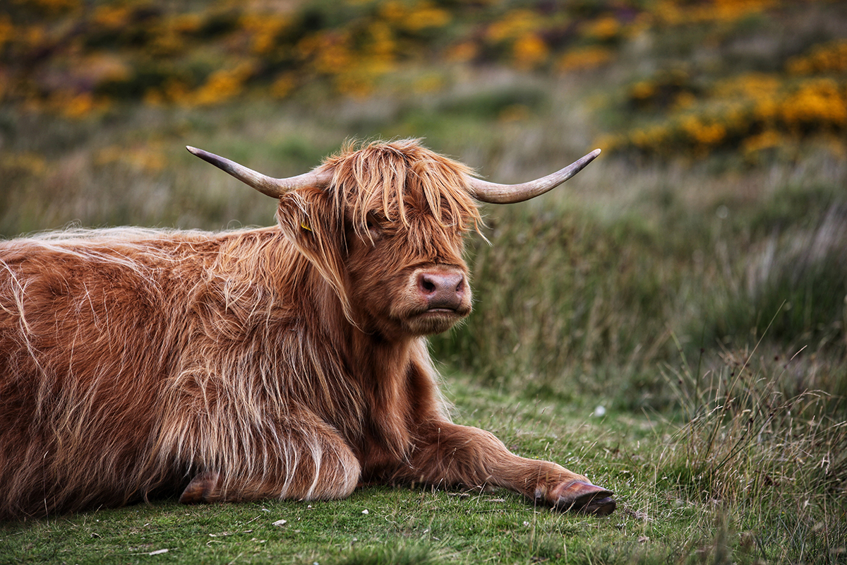 Aperture: Discover How To Take Control Of Depth Of Field For More ...