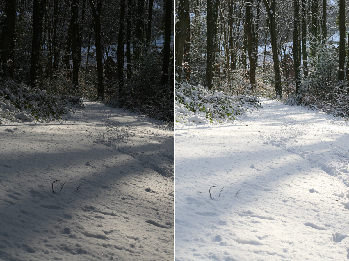 Exposure Triangle: How Shutter Speed, Aperture & ISO Work Together