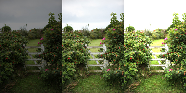 ISO: How To Take Control And Get Better Photos In Low Light