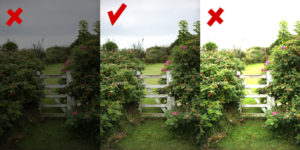 Aperture: Discover How To Take Control Of Depth Of Field For More ...