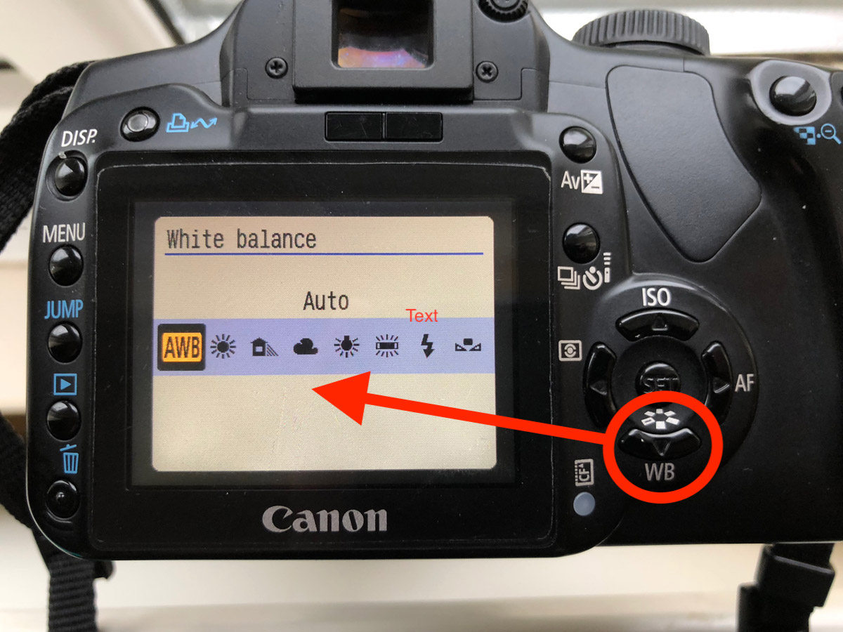 White Balance Explained: How To Get Accurate Colors In Your Photos